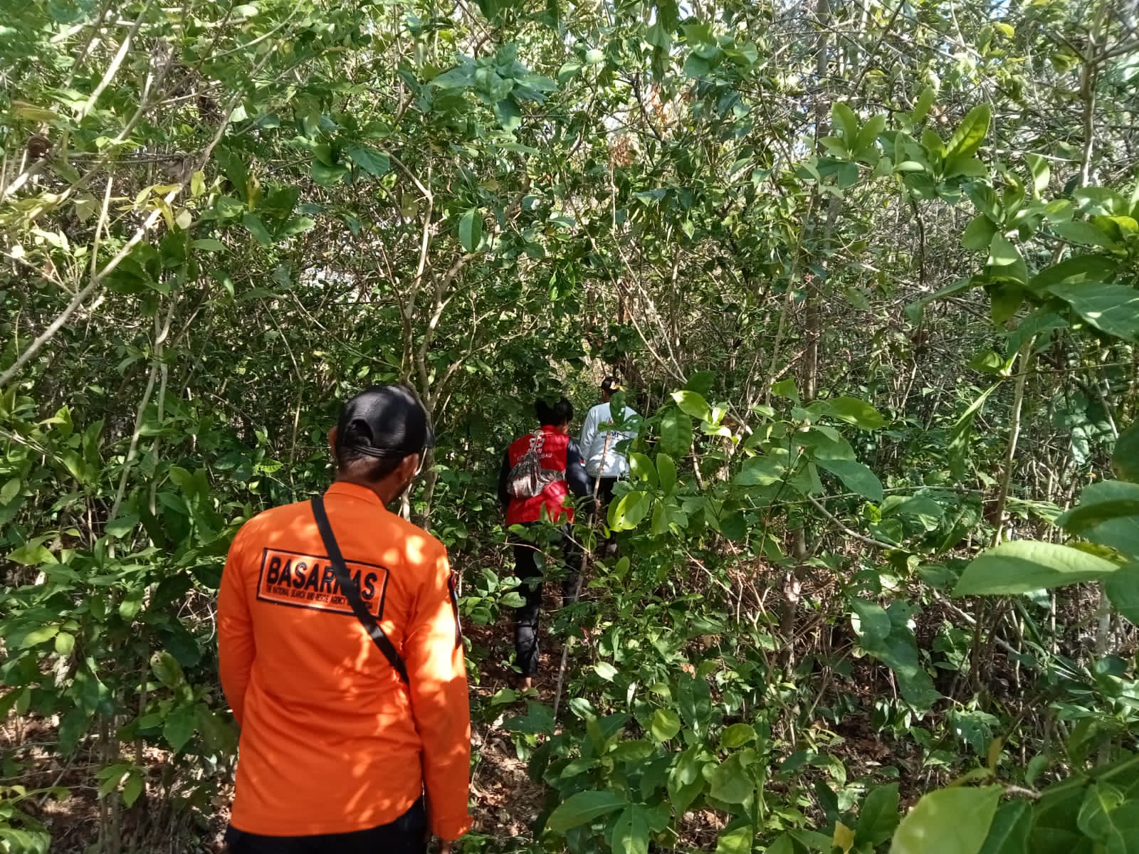 Cari Pinang, Nenek di Buton Selatan Hilang Dua Hari di Hutan ...